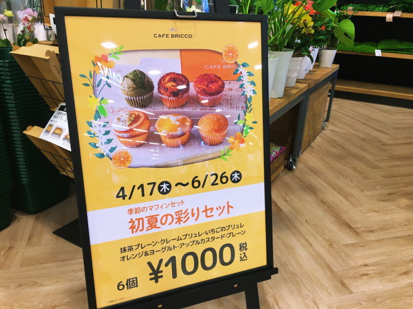 ホームセンターのカフェ: レク担ブログ5